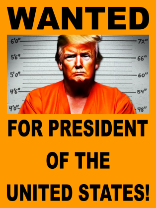 U.S. Constitutional Law Enforcement - Citizen Action Resources!